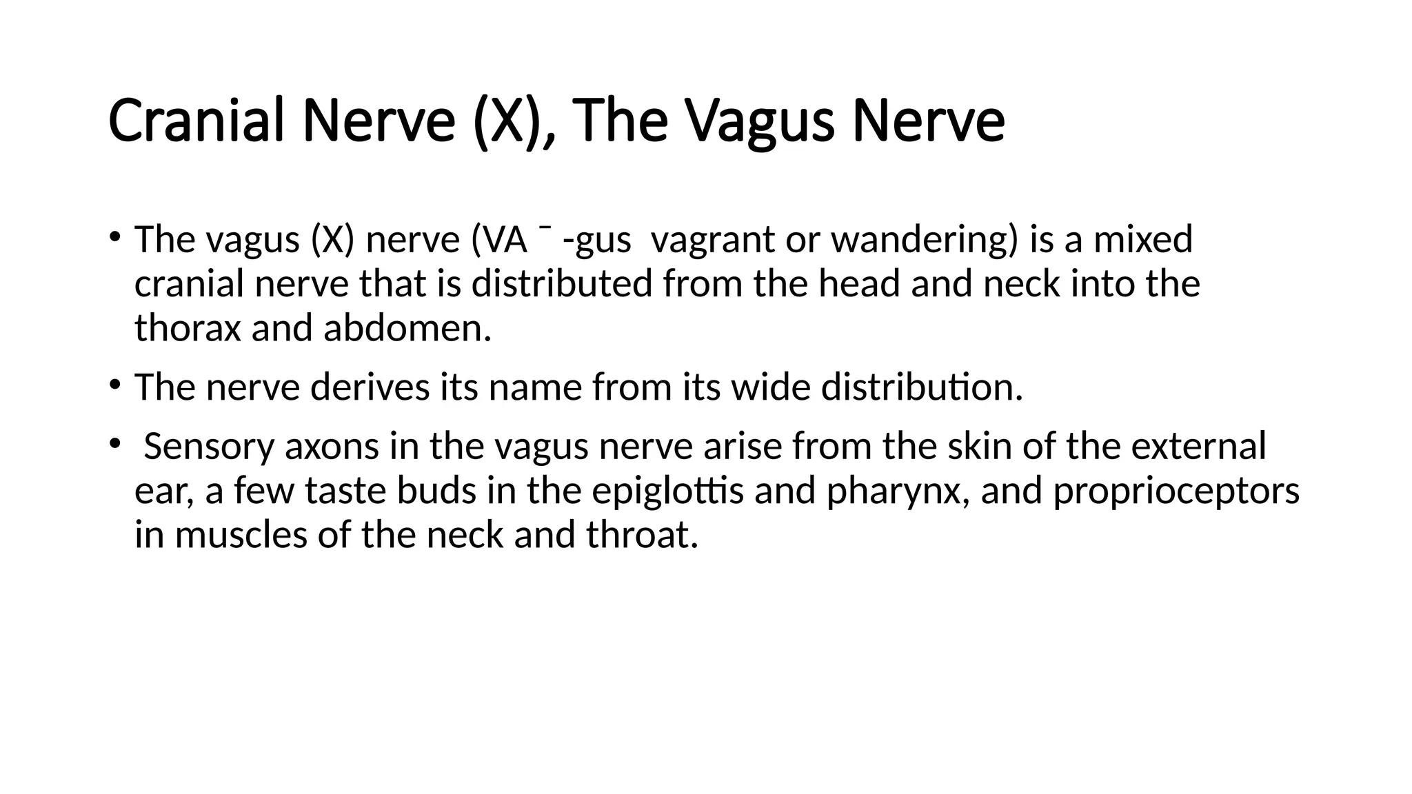 cranial nerves, spinal cord, spinal nerves.pptx