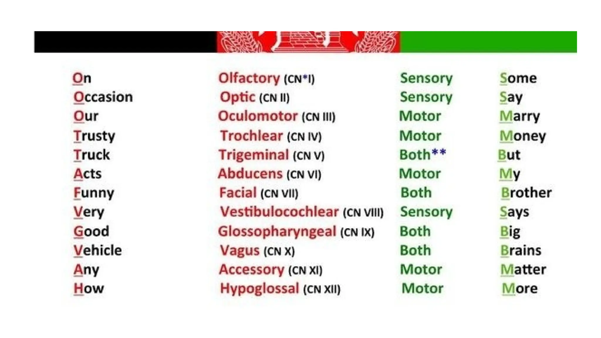 cranial nerves, spinal cord, spinal nerves.pptx
