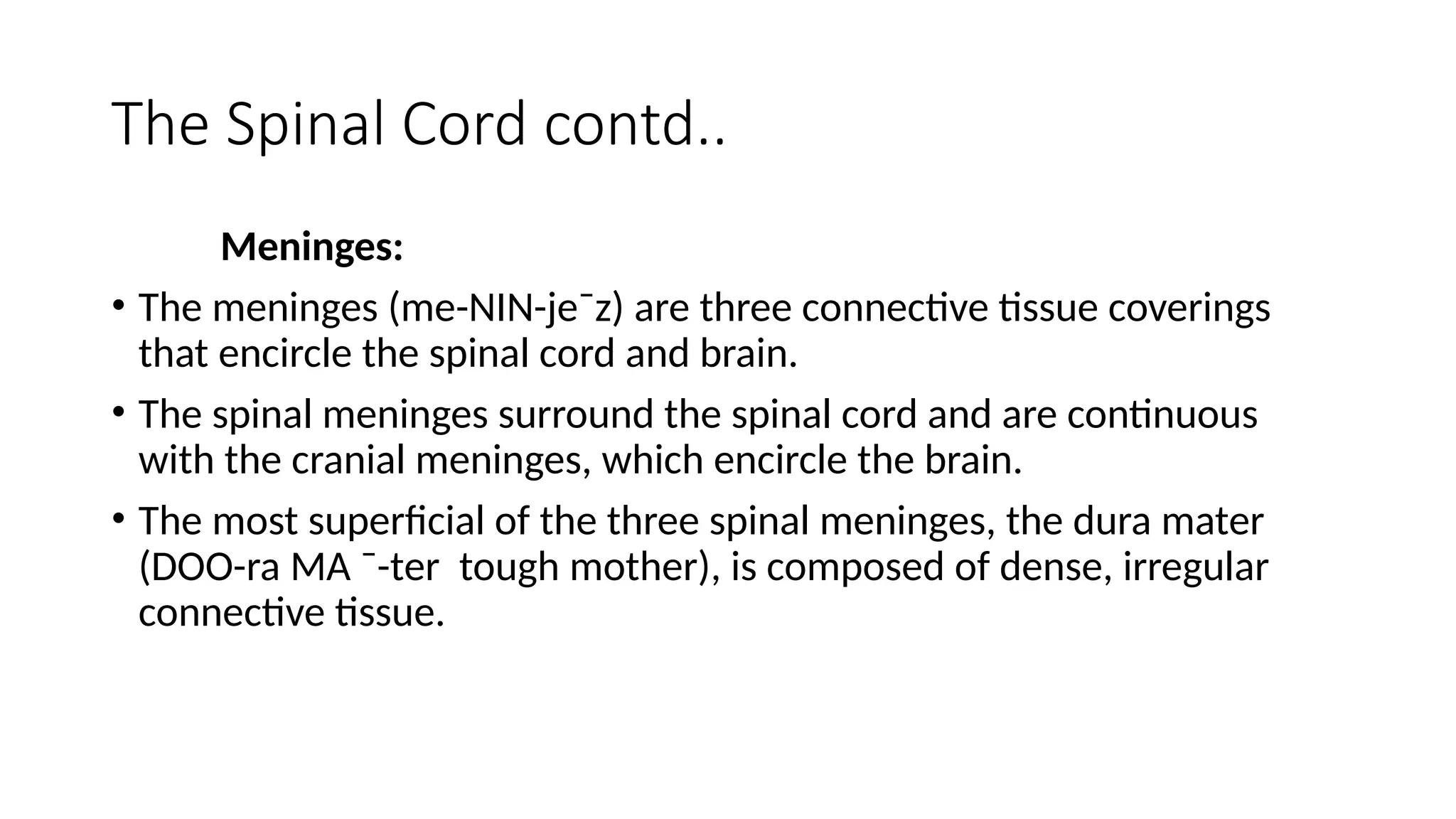 cranial nerves, spinal cord, spinal nerves.pptx