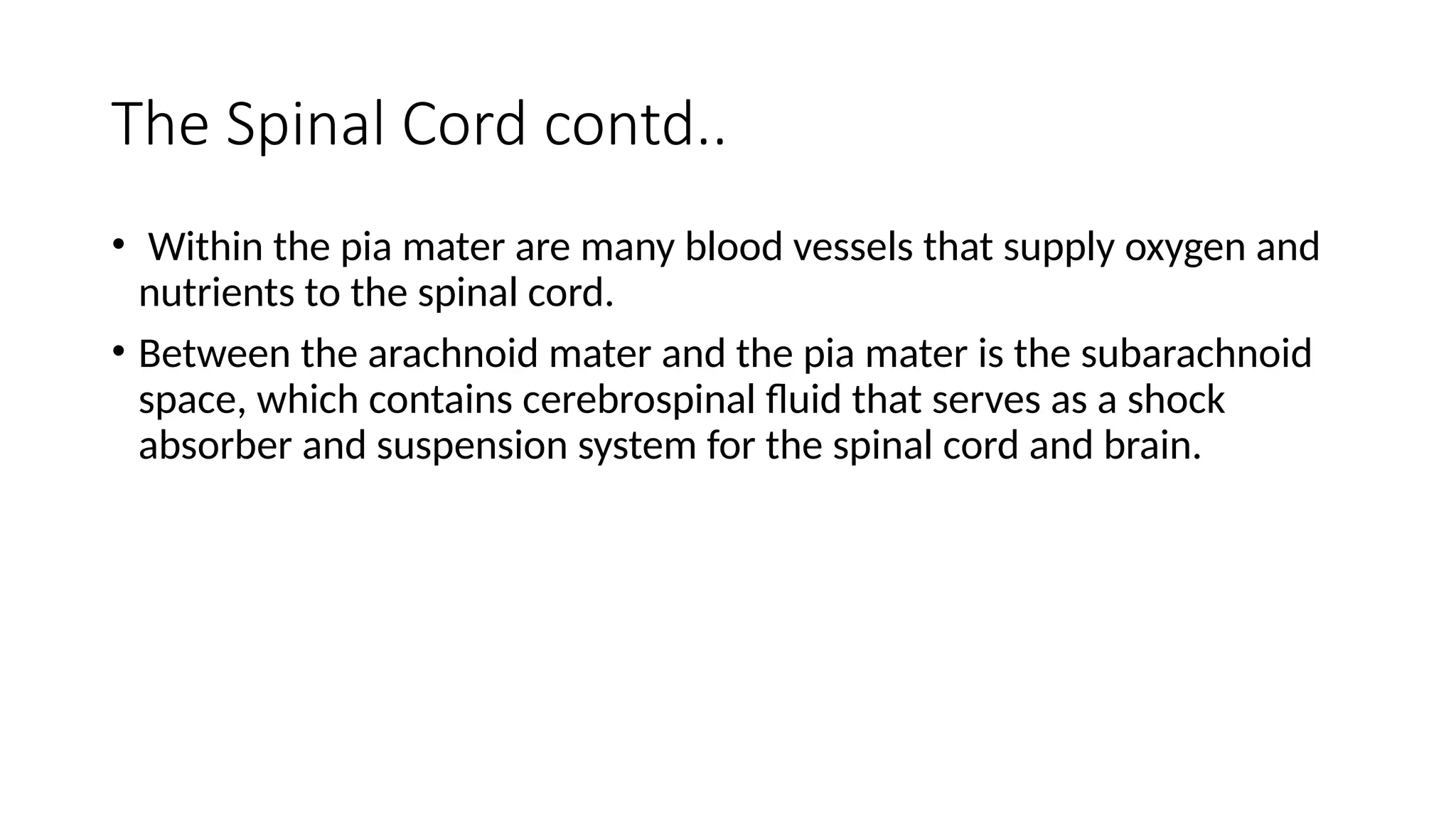 cranial nerves, spinal cord, spinal nerves.pptx