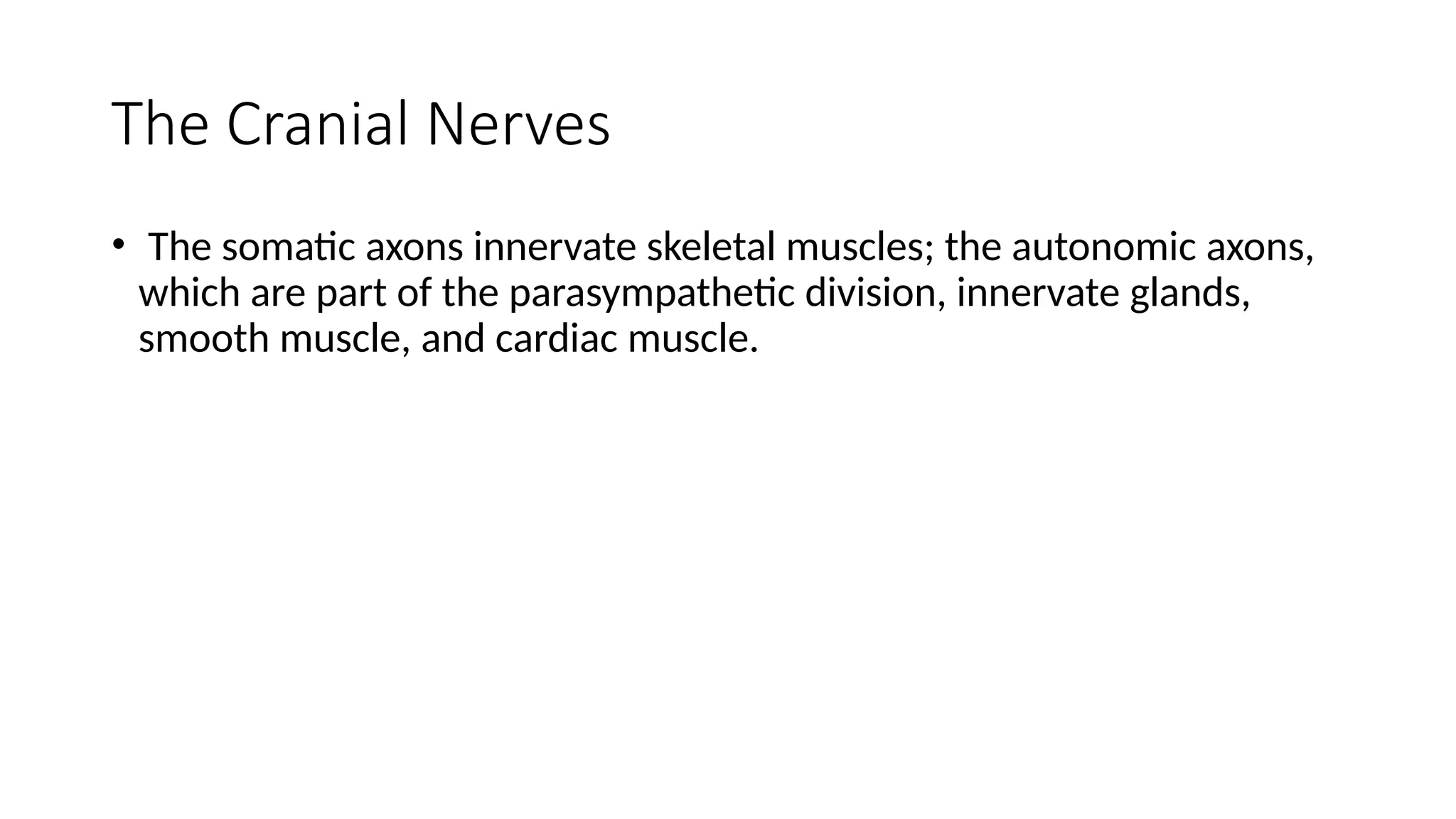 cranial nerves, spinal cord, spinal nerves.pptx