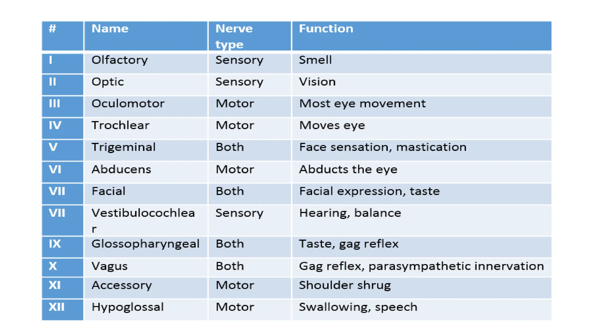 cranial nerves, spinal cord, spinal nerves.pptx