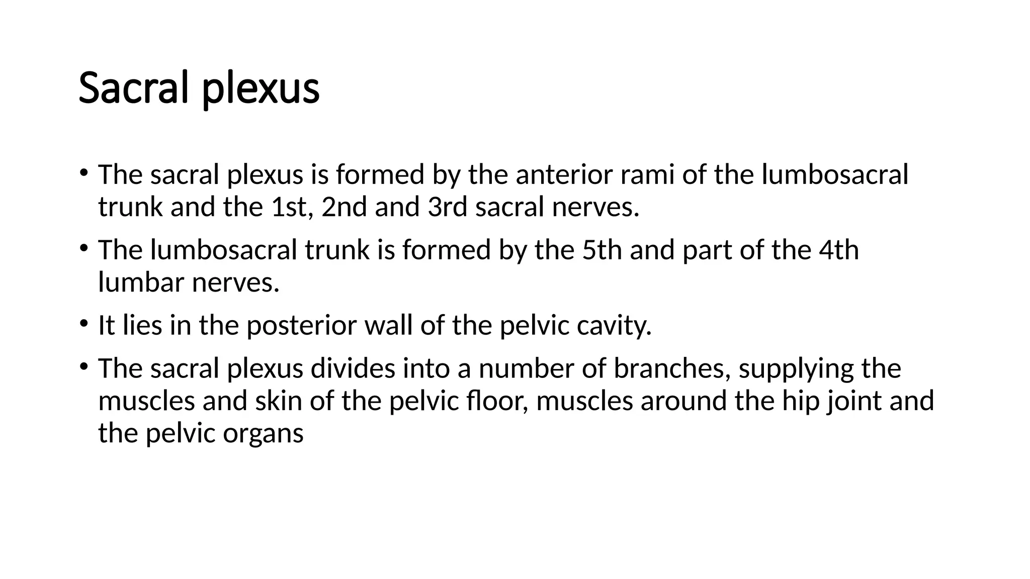 cranial nerves, spinal cord, spinal nerves.pptx