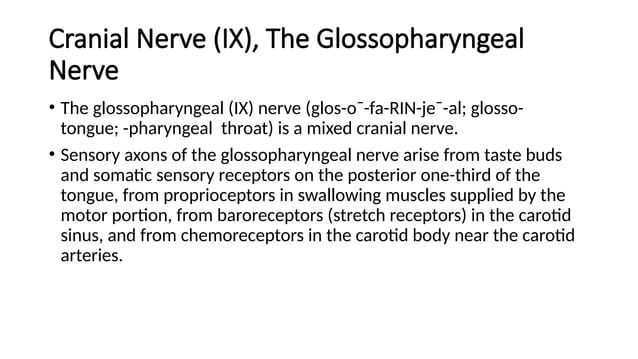 cranial nerves, spinal cord, spinal nerves.pptx