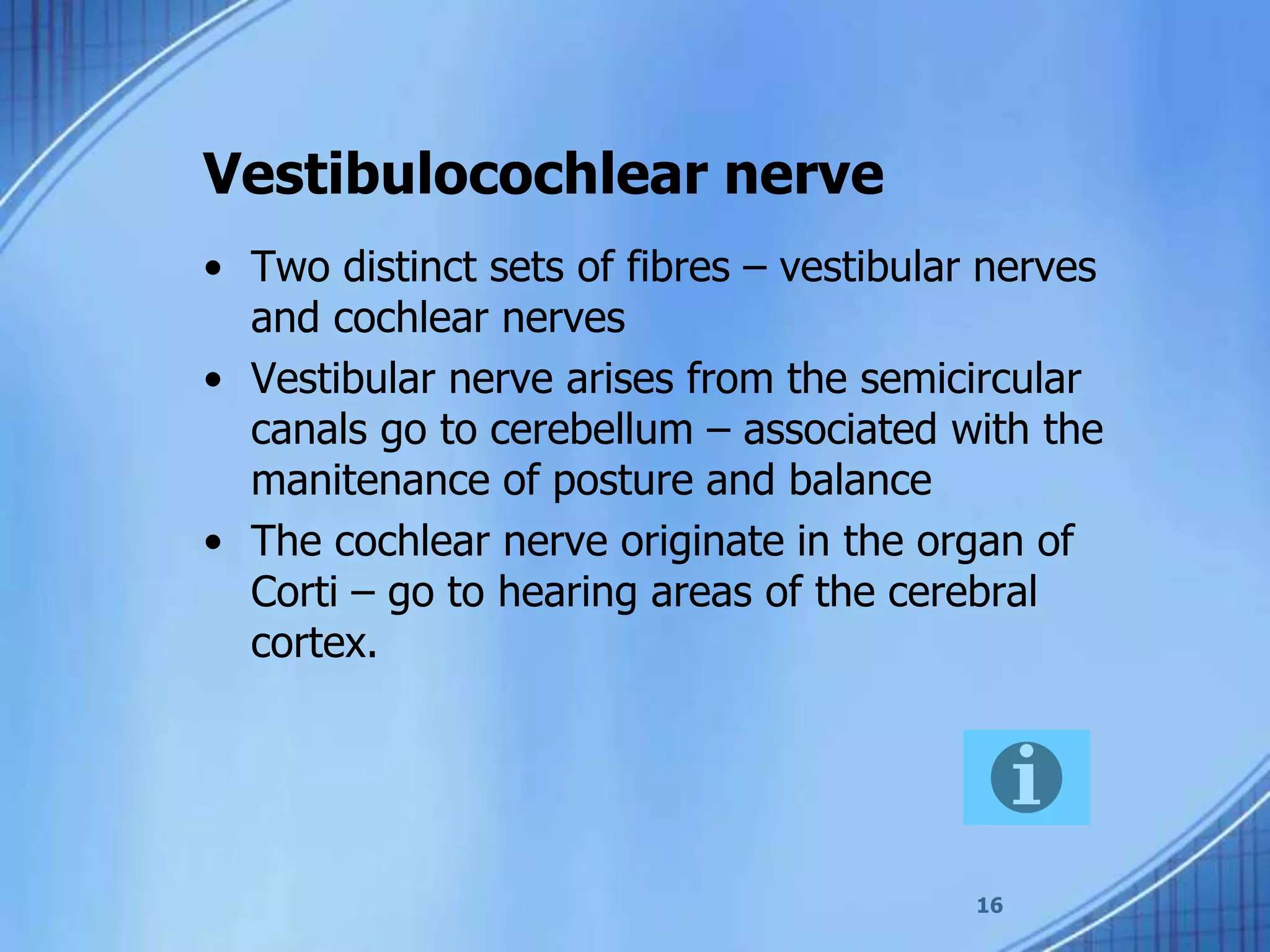 Cranial nerves anatomy | PPT