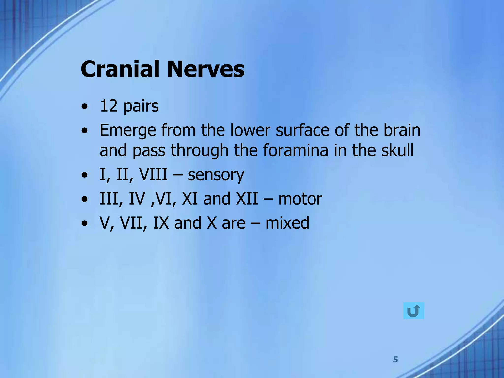Cranial nerves anatomy | PPT