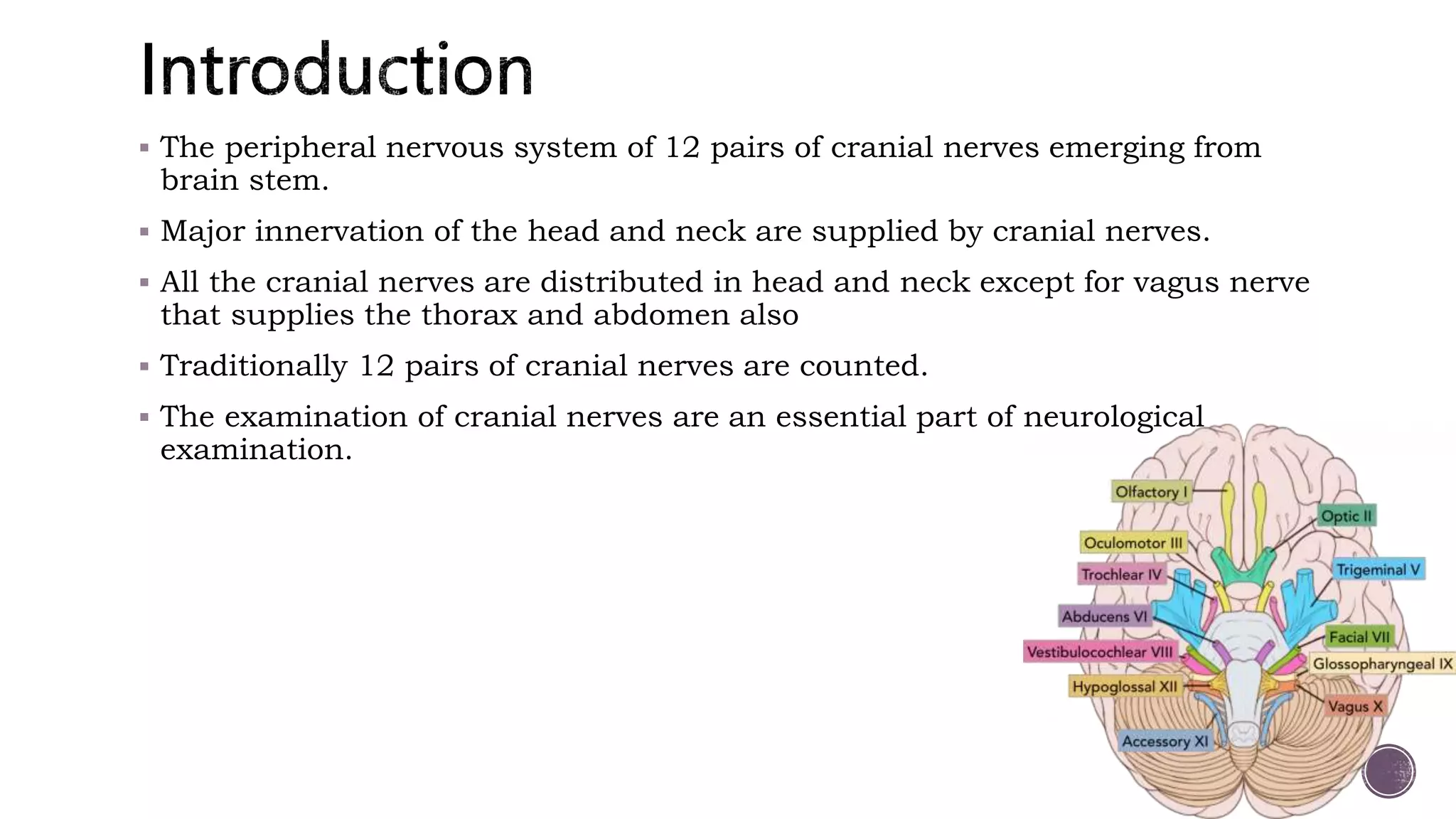 Cranial nerves vii-xii.pptx | Death, Injury, or Military Conflict ...
