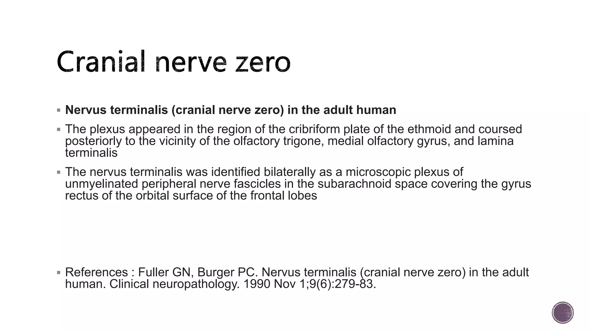 Cranial nerves vii-xii.pptx | Death, Injury, or Military Conflict ...