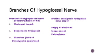 Cranial nerves vii-xii.pptx