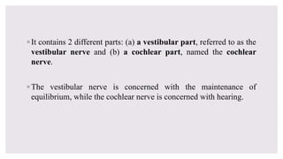 Cranial nerves VIII to XII.pptx