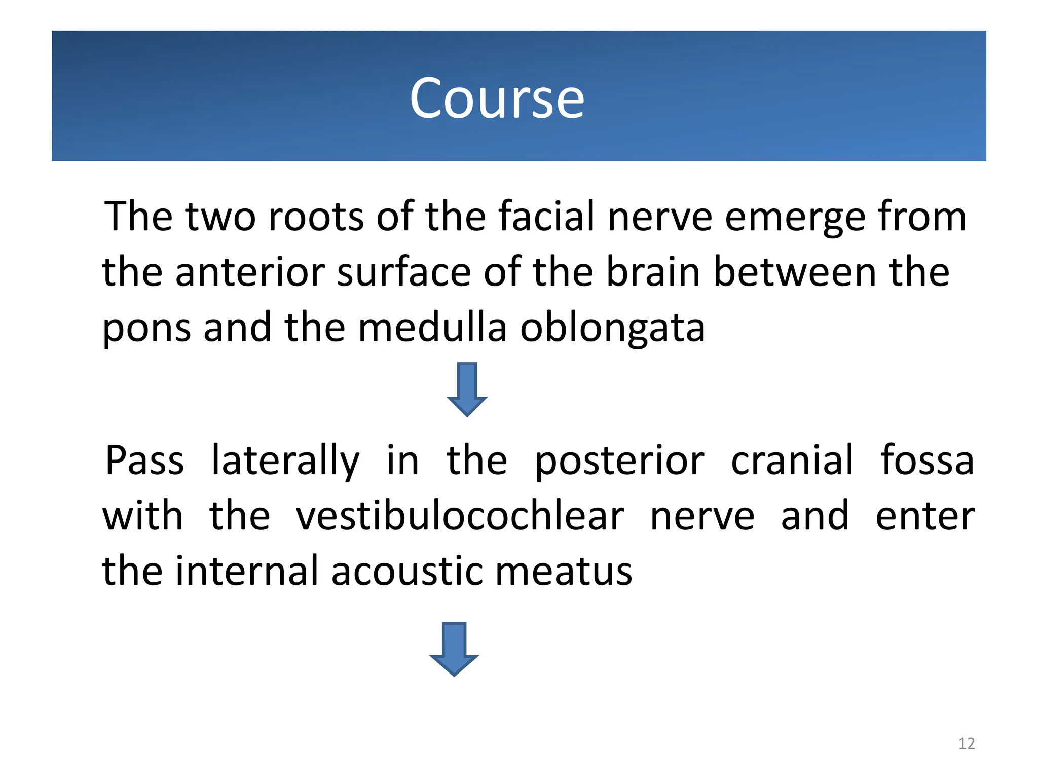 Cranial nerves VII & VIII applied and anatomy.pptx