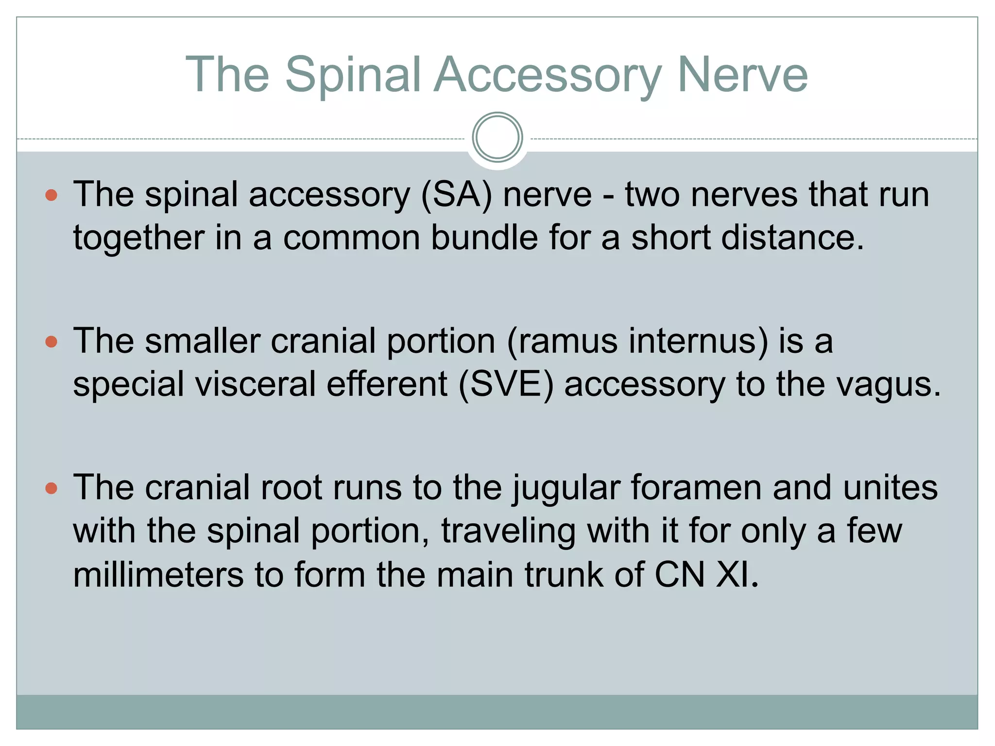 Cranial nerves xi and xii | PPTX