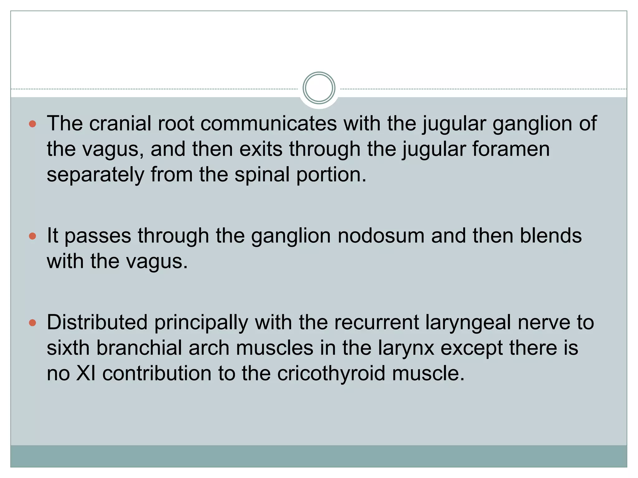 Cranial nerves xi and xii | PPTX