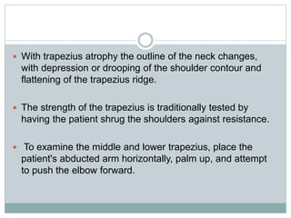 Cranial nerves xi and xii | PPTX
