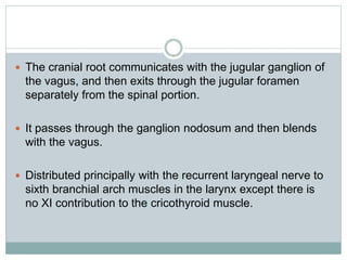Cranial nerves xi and xii | PPTX