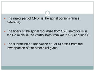 Cranial nerves xi and xii | PPTX