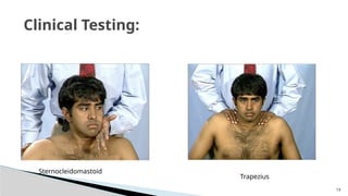 Examination of lower cranial nervesCRANIAL NERVES (XI,XII) | PPTX