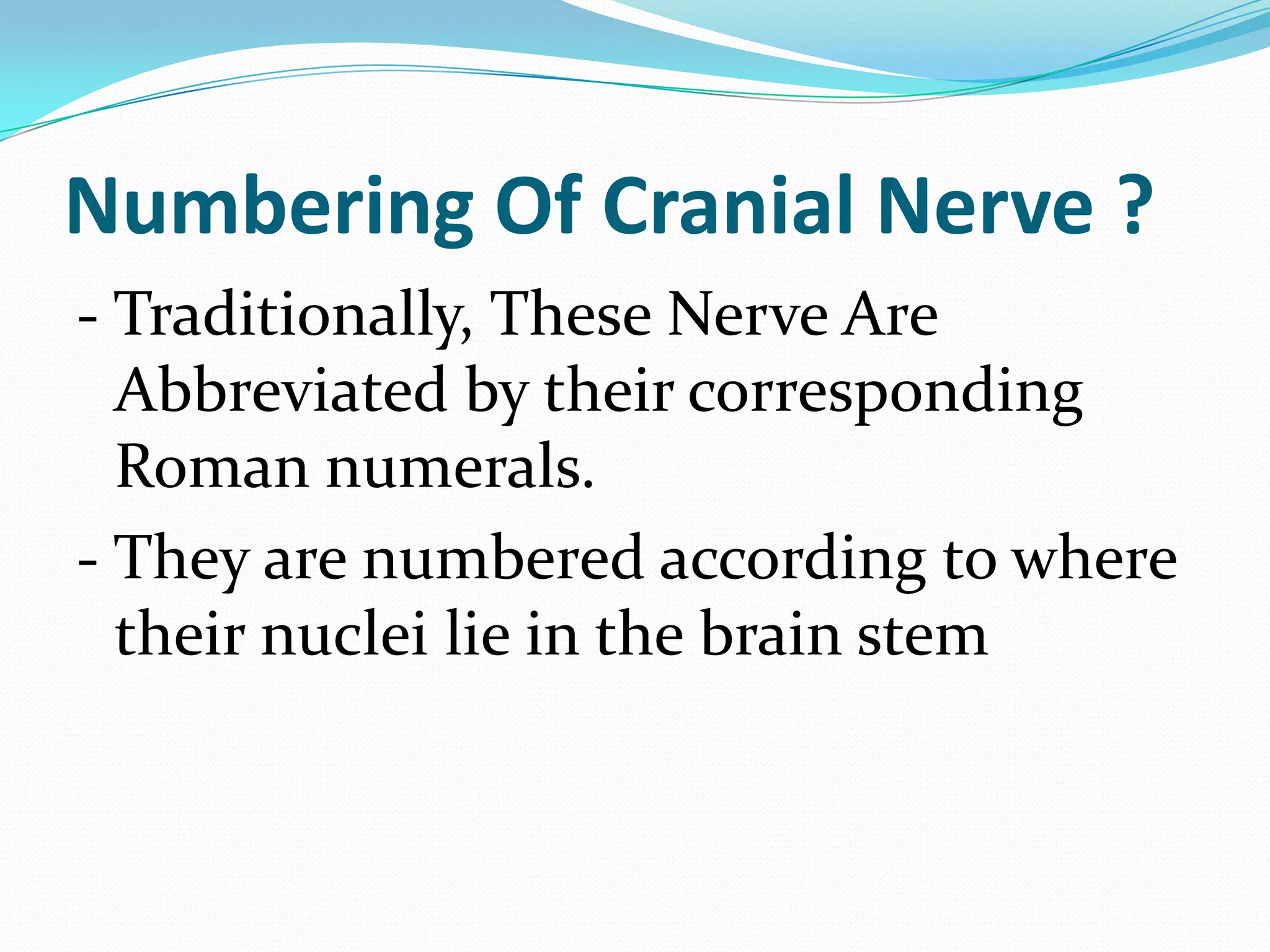 The Cranial nerve | PPTX