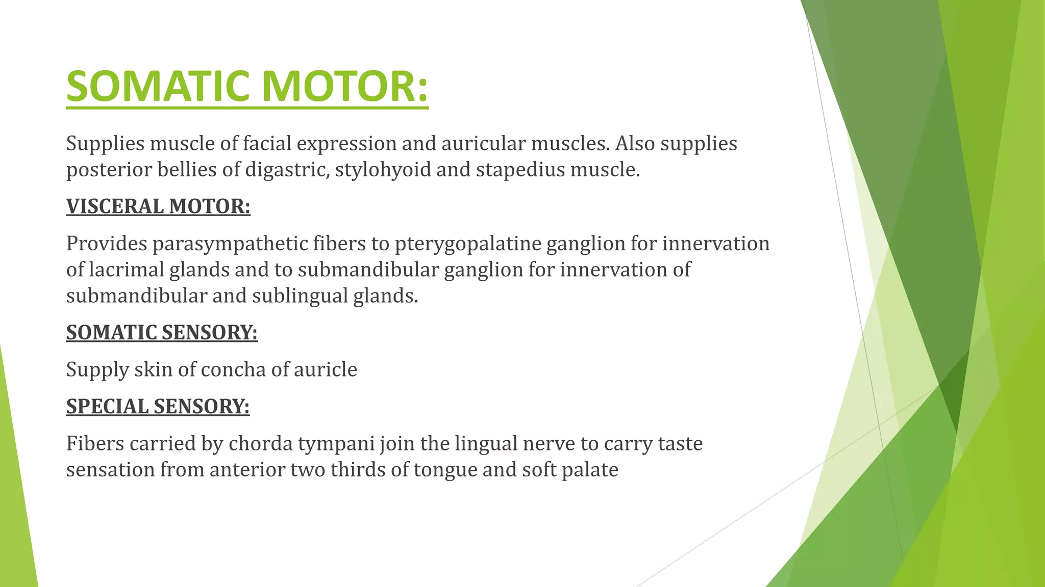 Cranial Nerve VII | PPTX