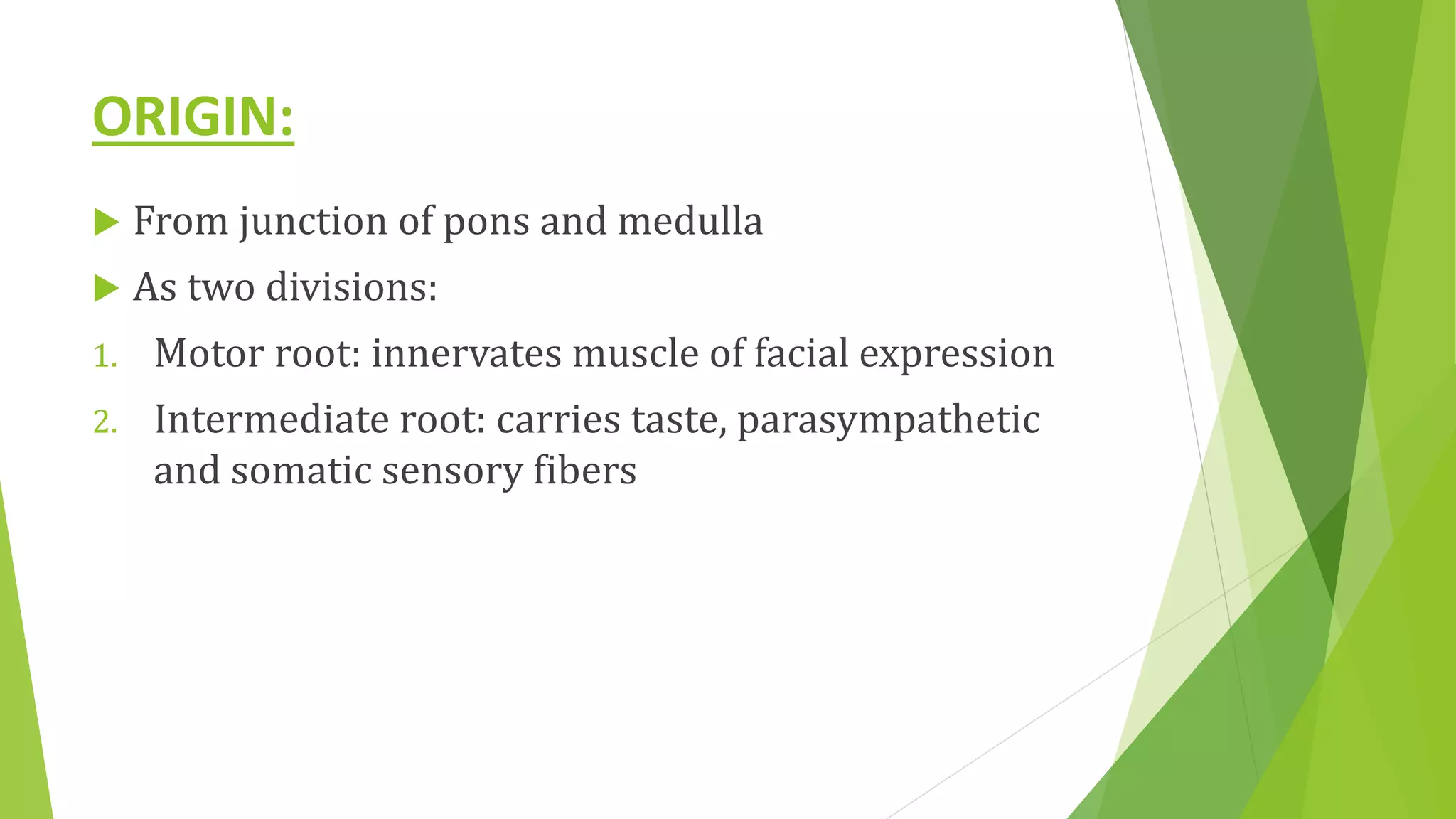 Cranial Nerve VII | PPTX