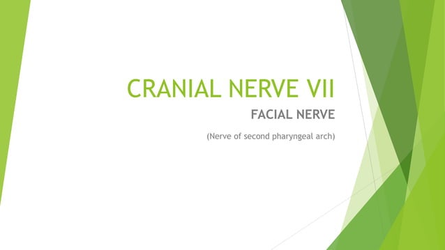 Cranial Nerve VII | PPTX | Ear, Nose and Throat Conditions | Diseases ...