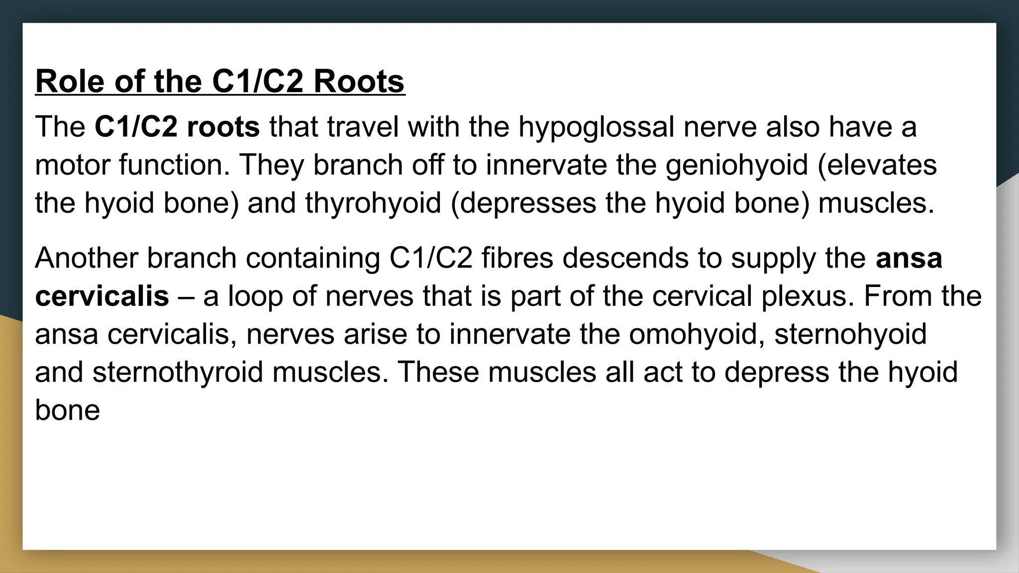 CRANIAL NERVE XII, a very brief but well informed take | PPTX
