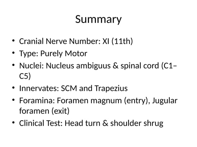 Cranial_Nerve_XI_Seminar_Presentation.pptx
