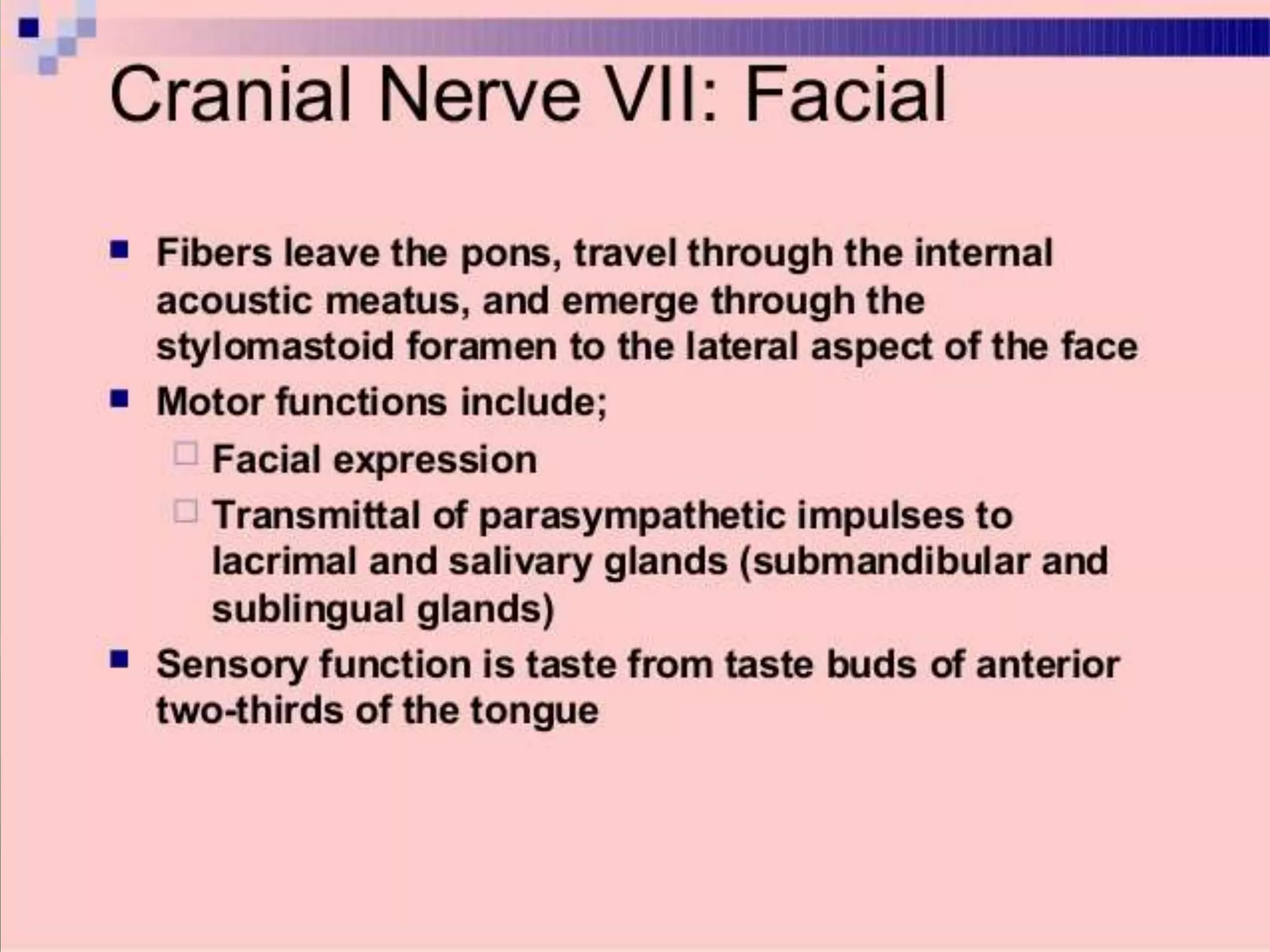 Cranial nervous system | PPT