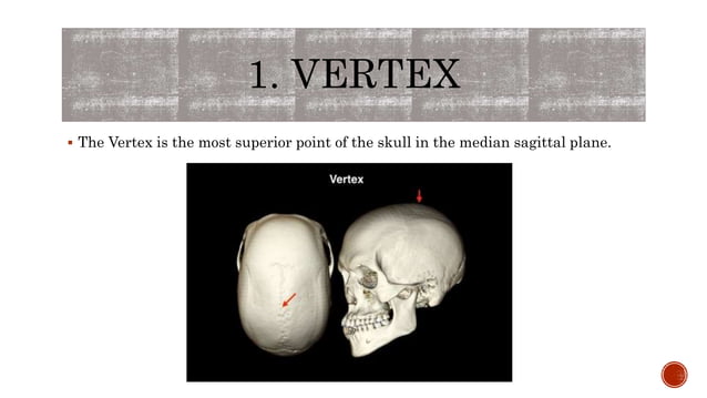 CRANIAL POSITIONING LINES & LANDMARKS.pptx