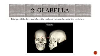 CRANIAL POSITIONING LINES & LANDMARKS.pptx