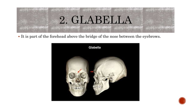 CRANIAL POSITIONING LINES & LANDMARKS.pptx