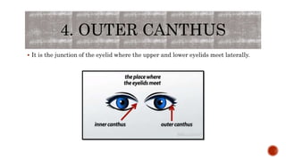 CRANIAL POSITIONING LINES & LANDMARKS.pptx