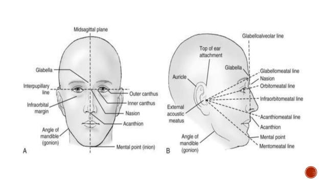 CRANIAL POSITIONING LINES & LANDMARKS.pptx