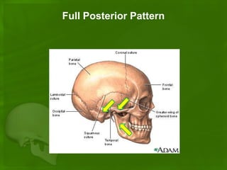 Treatment of Low Back Pain By Cranial Adjustment | PPTX