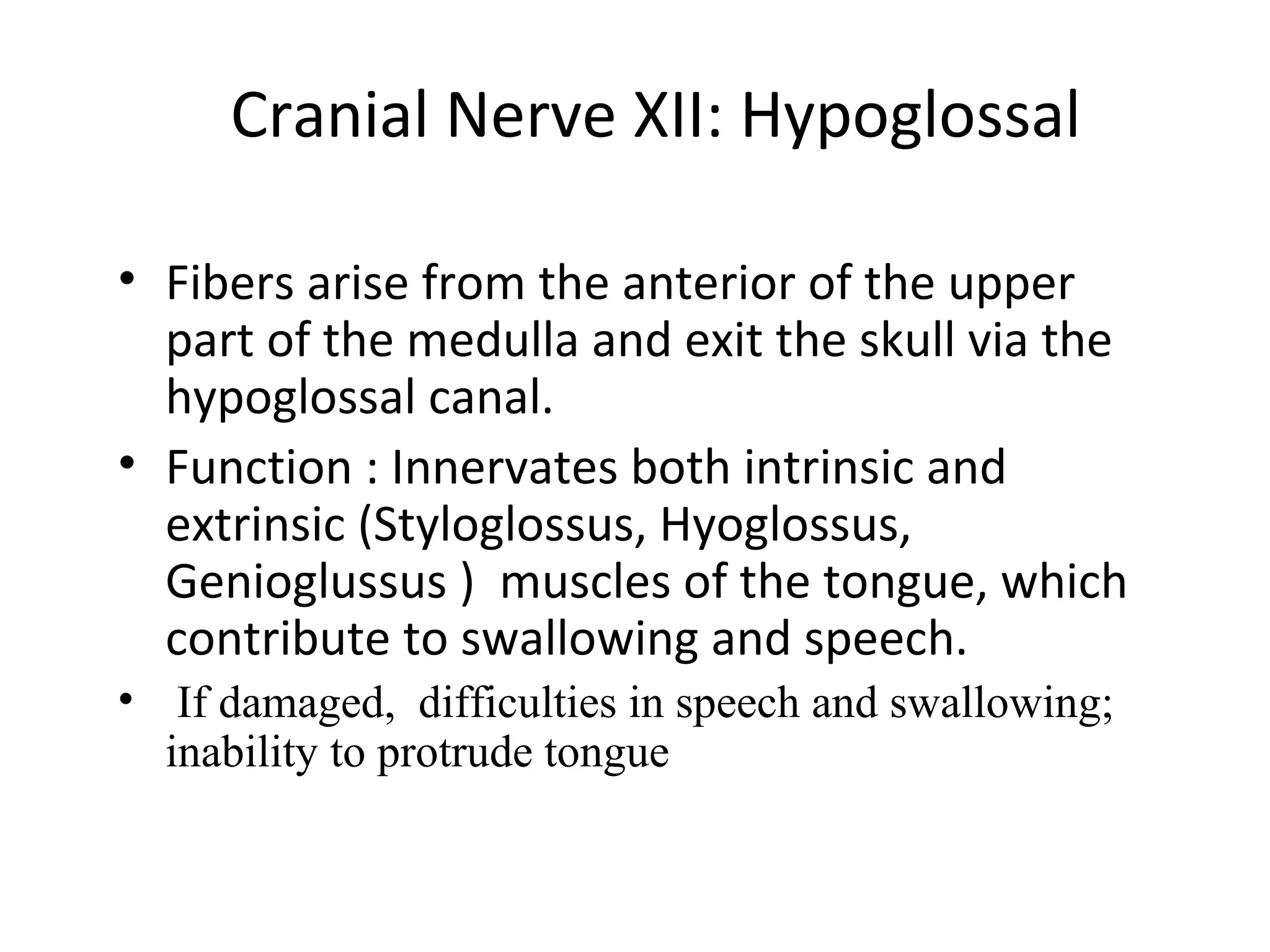 Cranial nerves | PPT