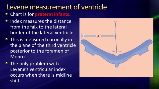 TRANSCRANIAL ULTRASOUND