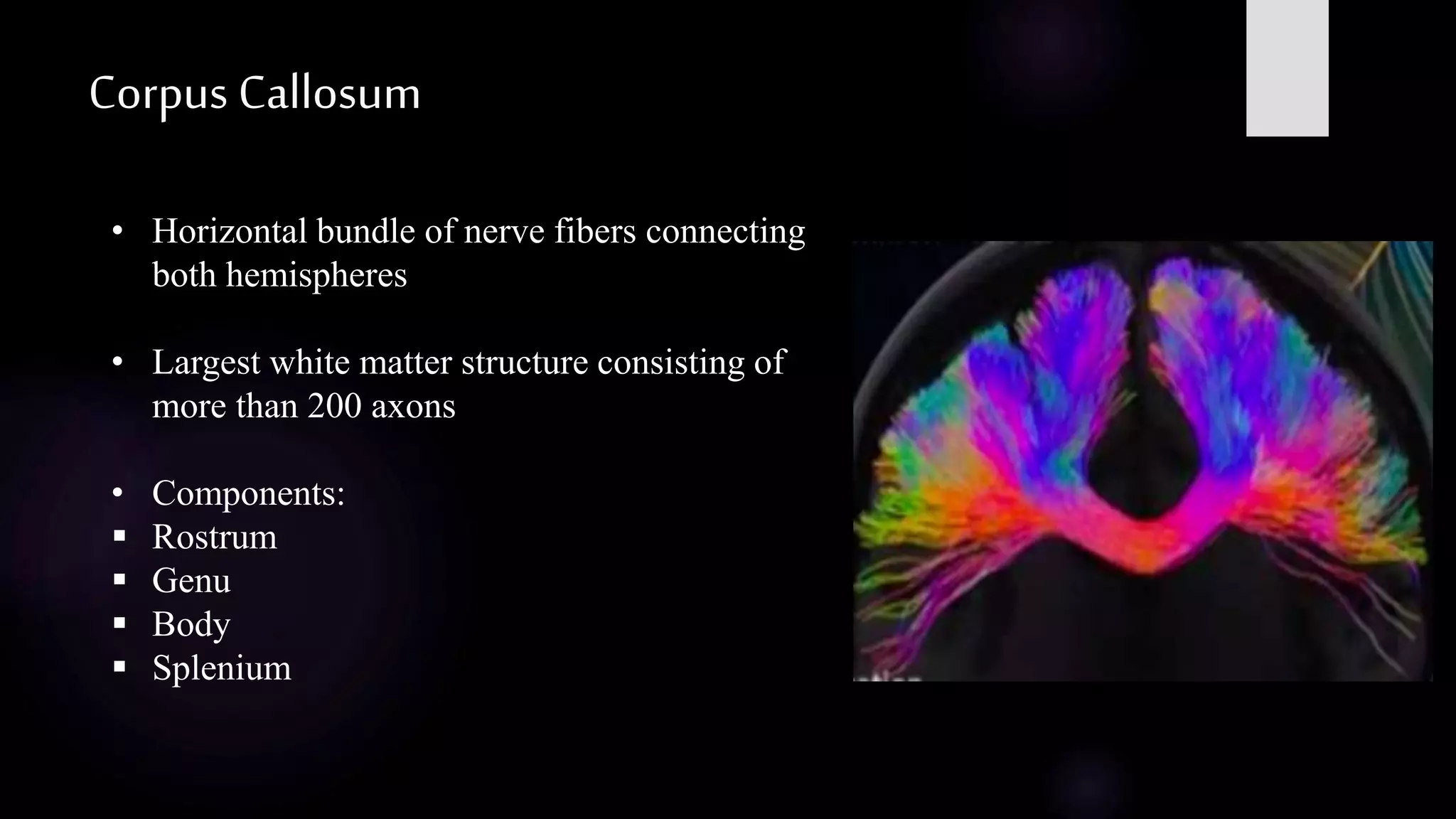 Cranial usg final.pptx