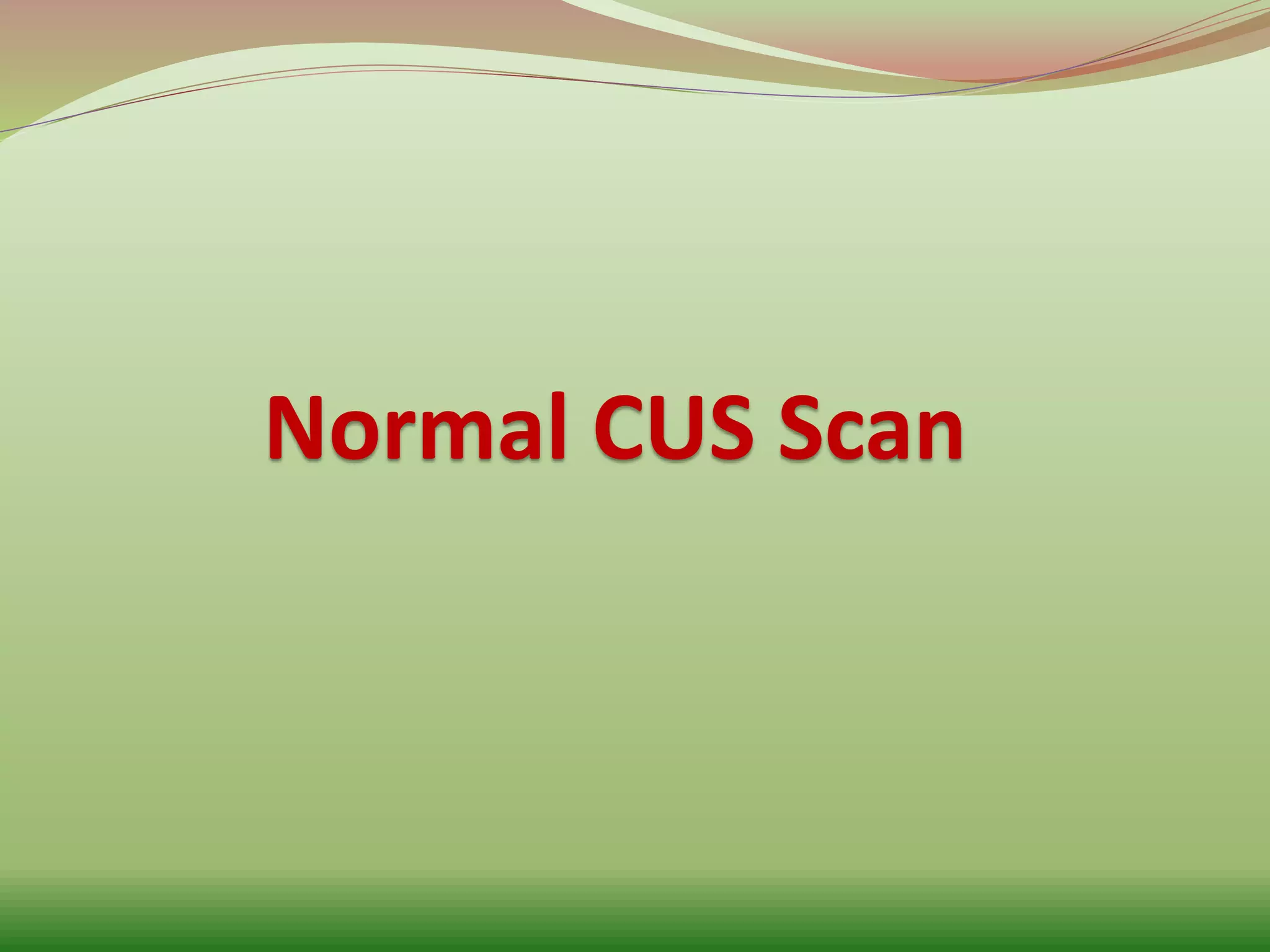 Cranial ultrasnography, by dr Rabab hashem | PPTX