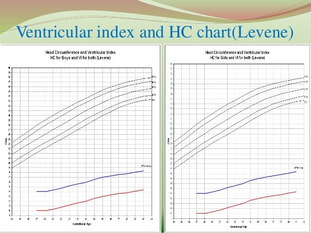 Cranial ultrasnography, by dr Rabab hashem