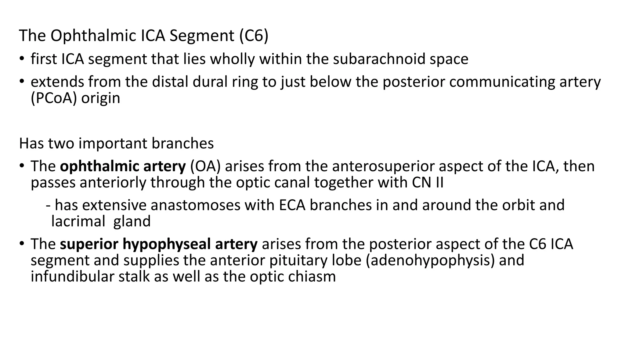 Cranial Vascular Anatomy.pptx
