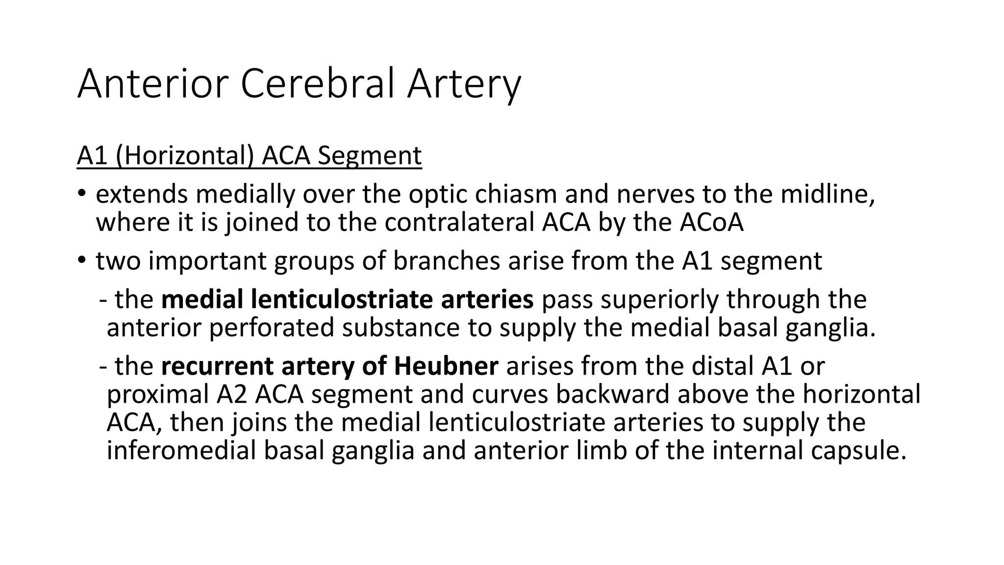 Cranial Vascular Anatomy.pptx