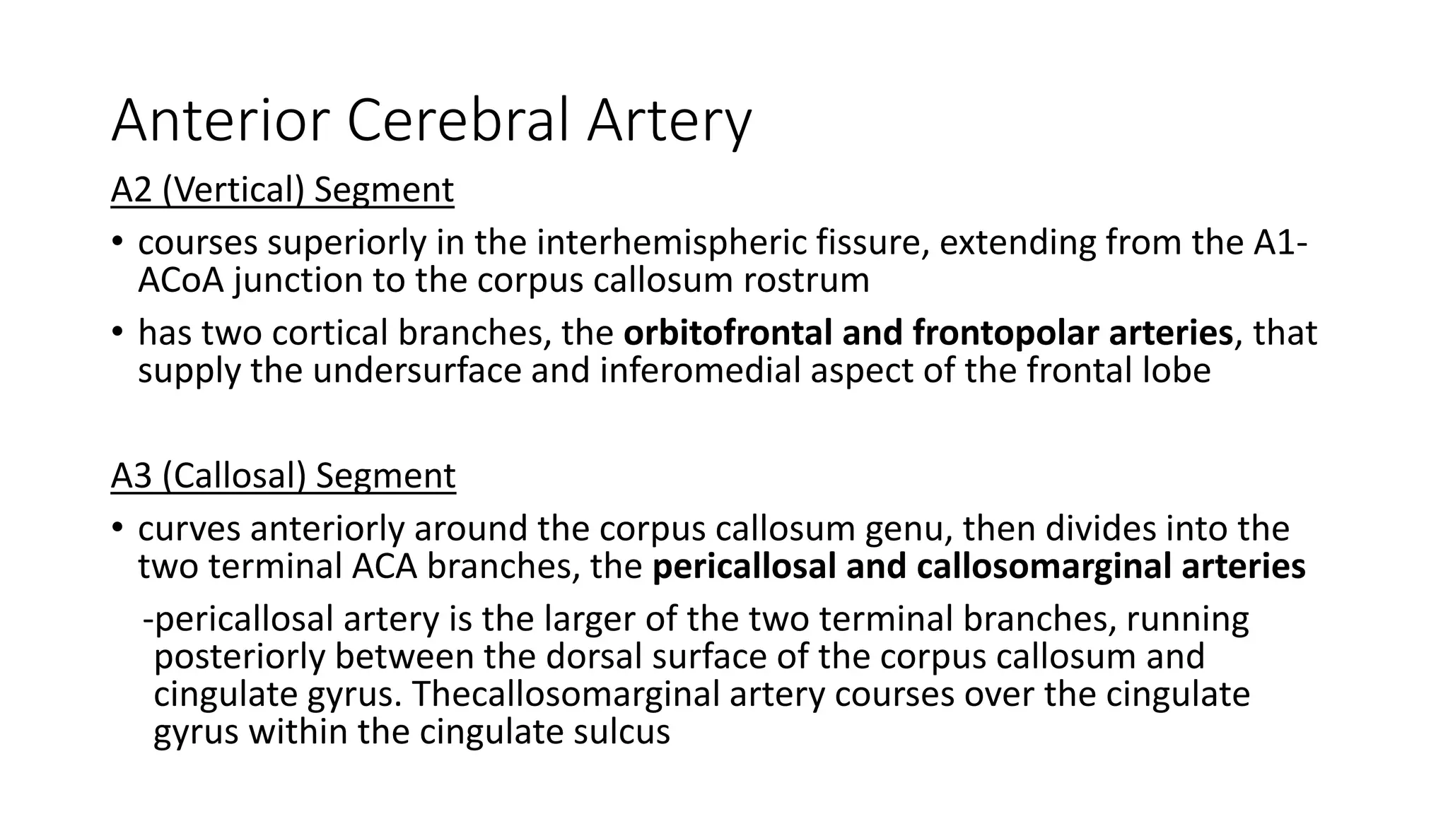 Cranial Vascular Anatomy.pptx