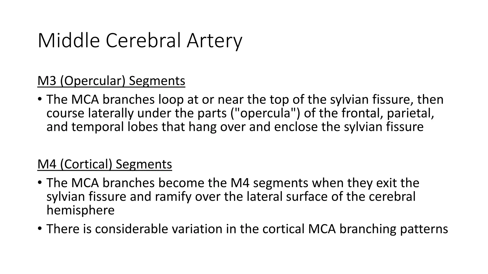 Cranial Vascular Anatomy.pptx