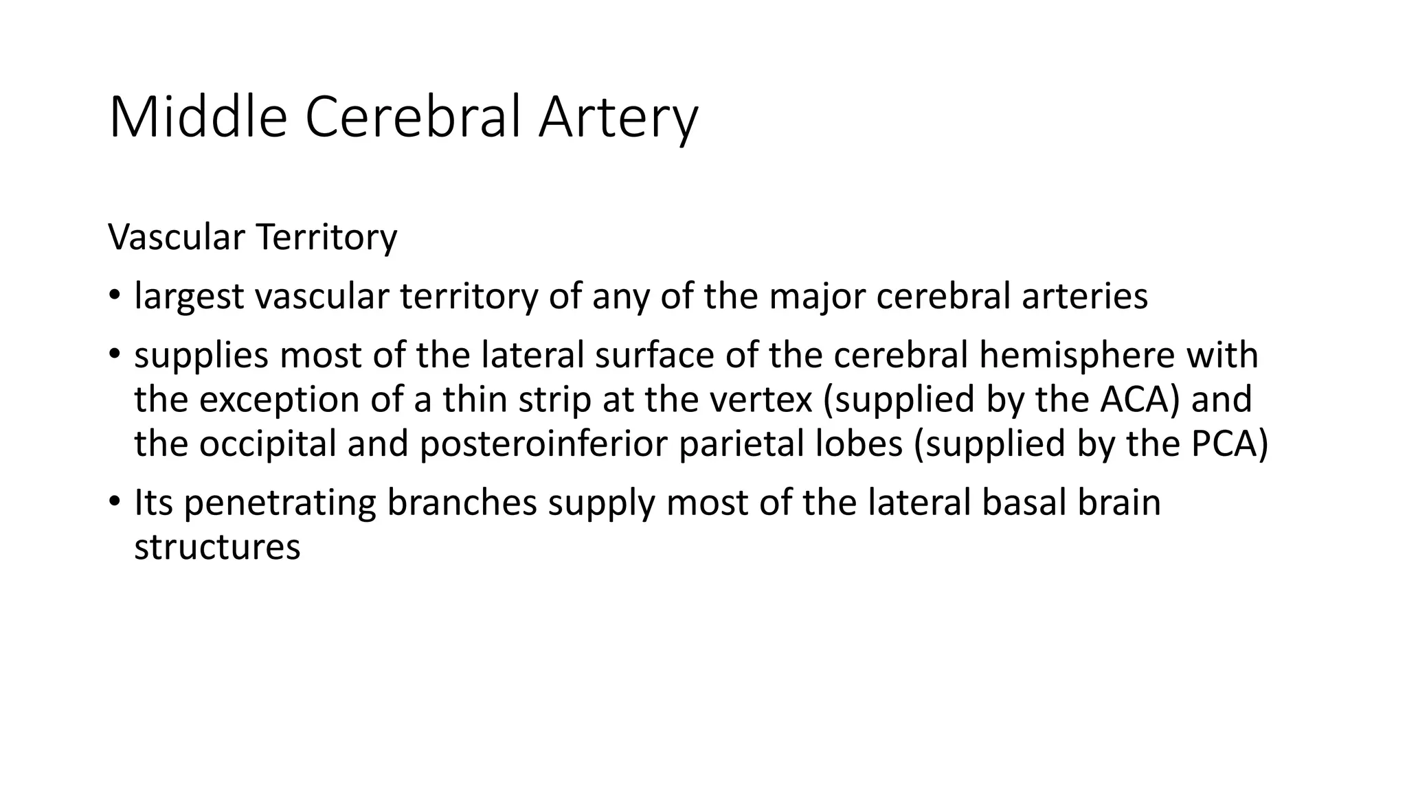 Cranial Vascular Anatomy.pptx