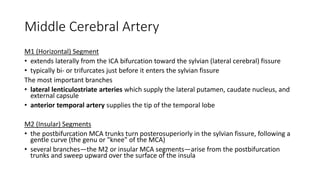 Cranial Vascular Anatomy.pptx