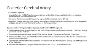 Cranial Vascular Anatomy.pptx