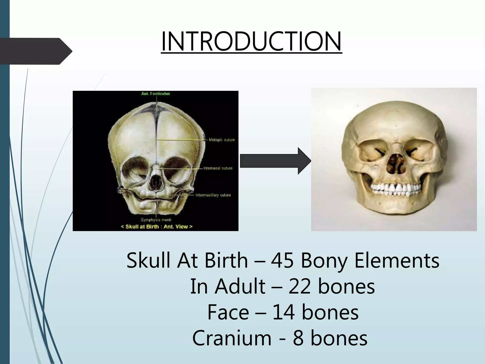Cranial vault | PPTX