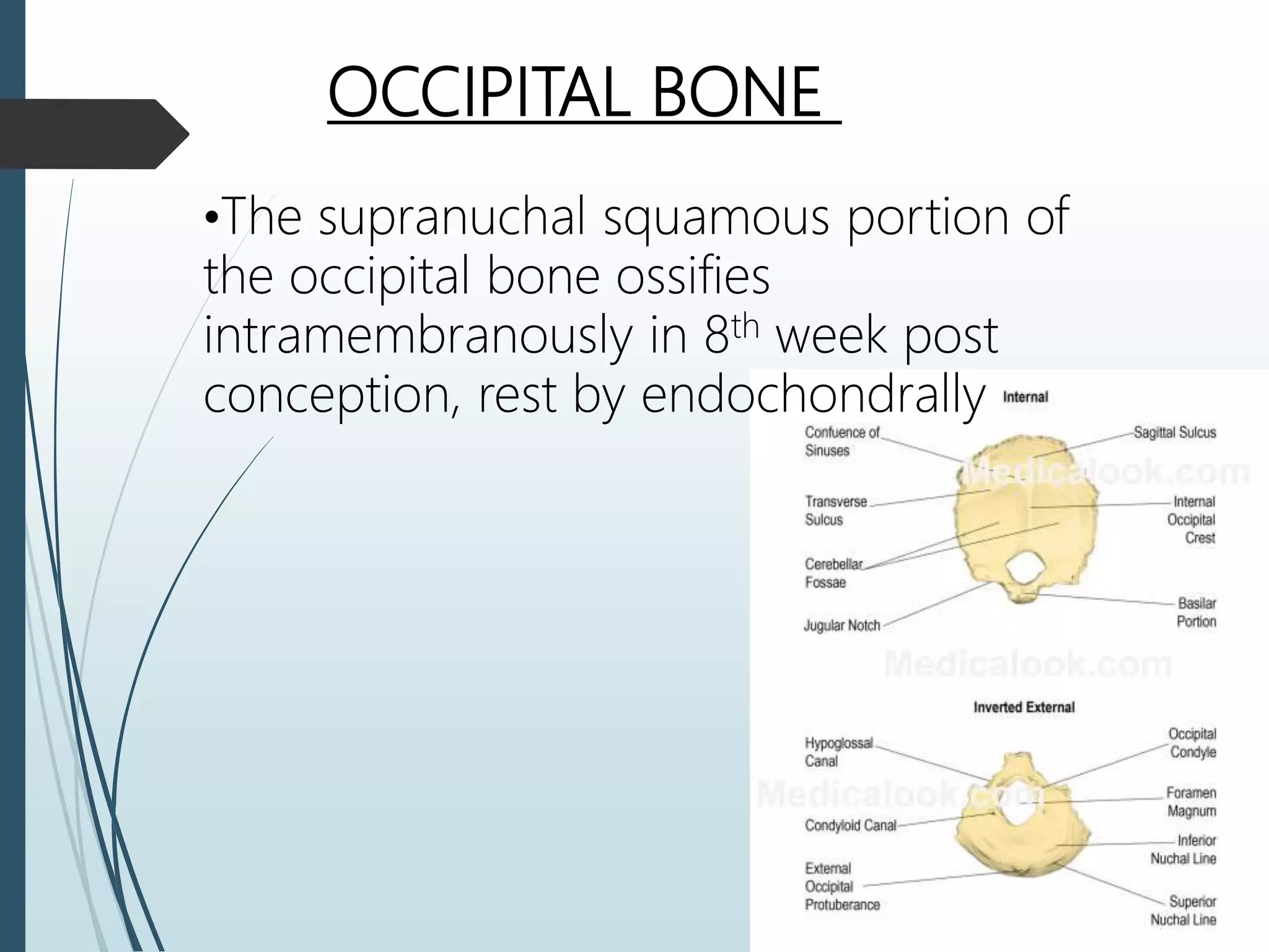 Cranial vault | PPTX