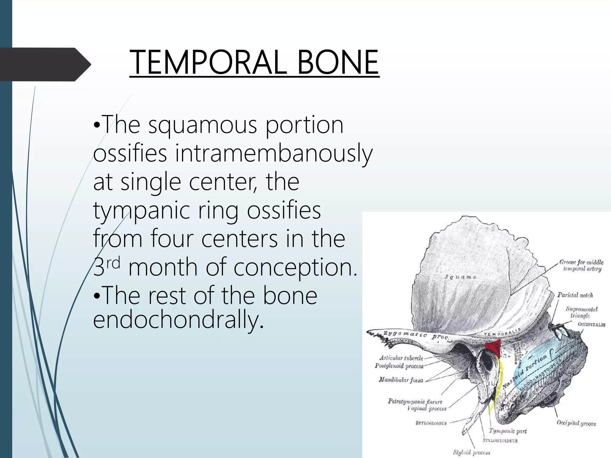 Cranial vault | PPTX