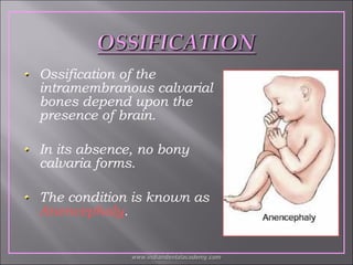 Cranial vault development /certified fixed orthodontic courses by ...
